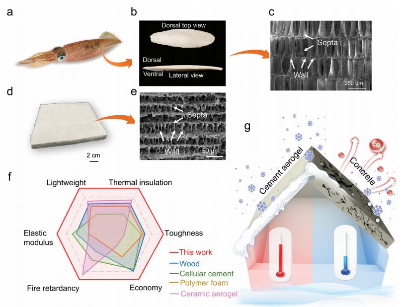 Research \\ A thermal insulation bionic airgel prepared by biologically ...
