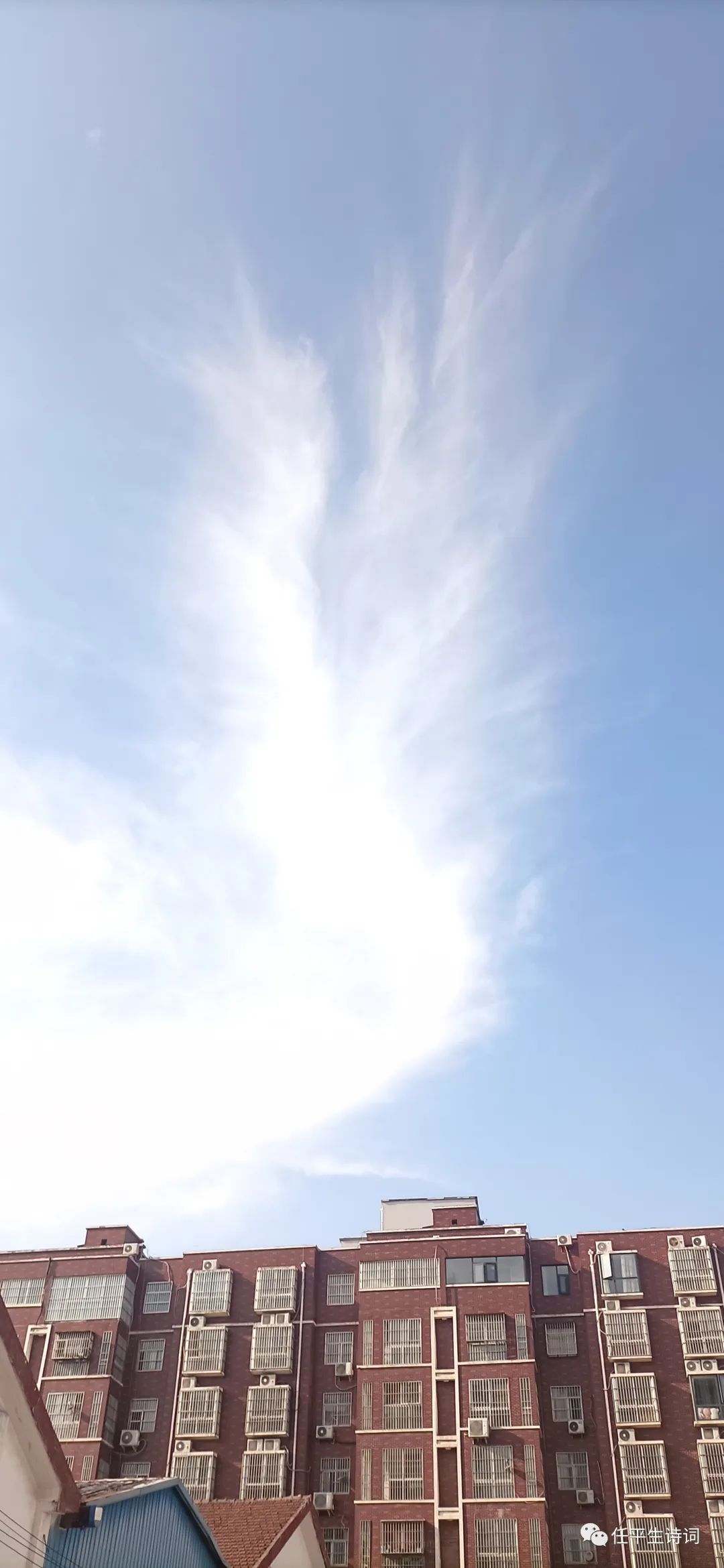 "Column" Appreciation of Ren Pingsheng's Works: "Contemplation of Zen ...