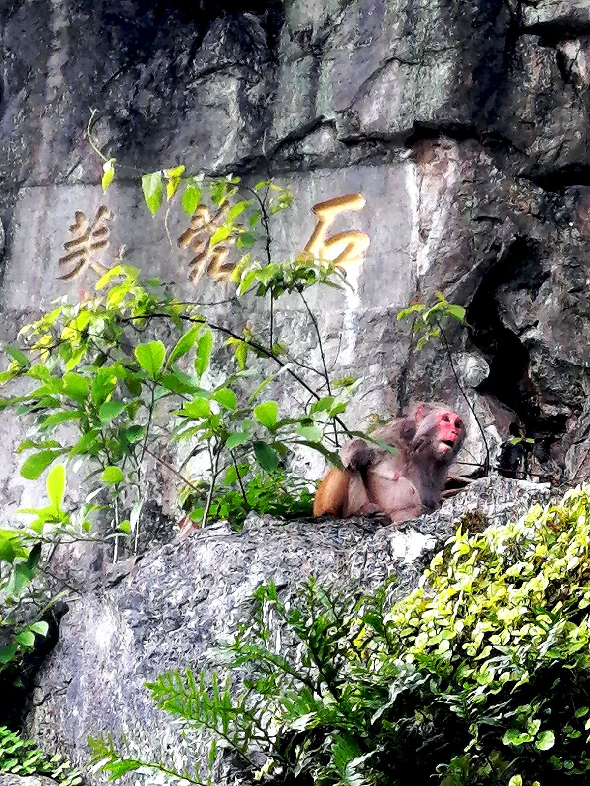 Guilin: Spring to Seven Star Scenic Area! - iNEWS