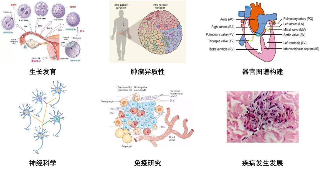 Speak with evidence—the measured FFPE samples are very useful for ...