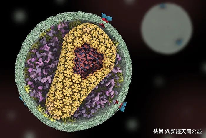 實驗性HIV藥物4d可能解決病友最擔心的耐藥問題 - 頭條匯
