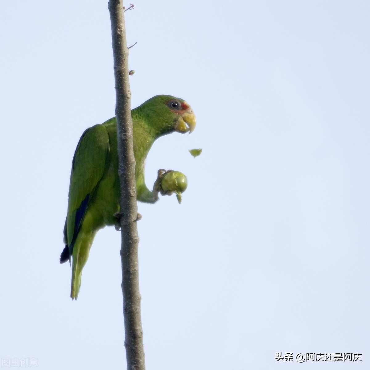 This "frontier official" stepped into the core of the Tang Dynasty, but ...