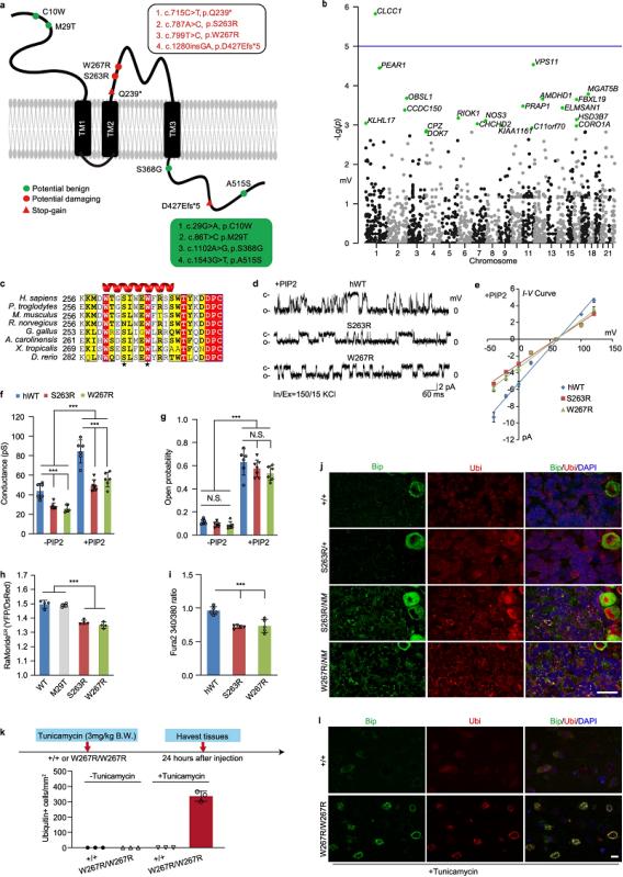 Jia Yichang/Gao Zhaobing/Fan Dongsheng's team discovered the anion ...