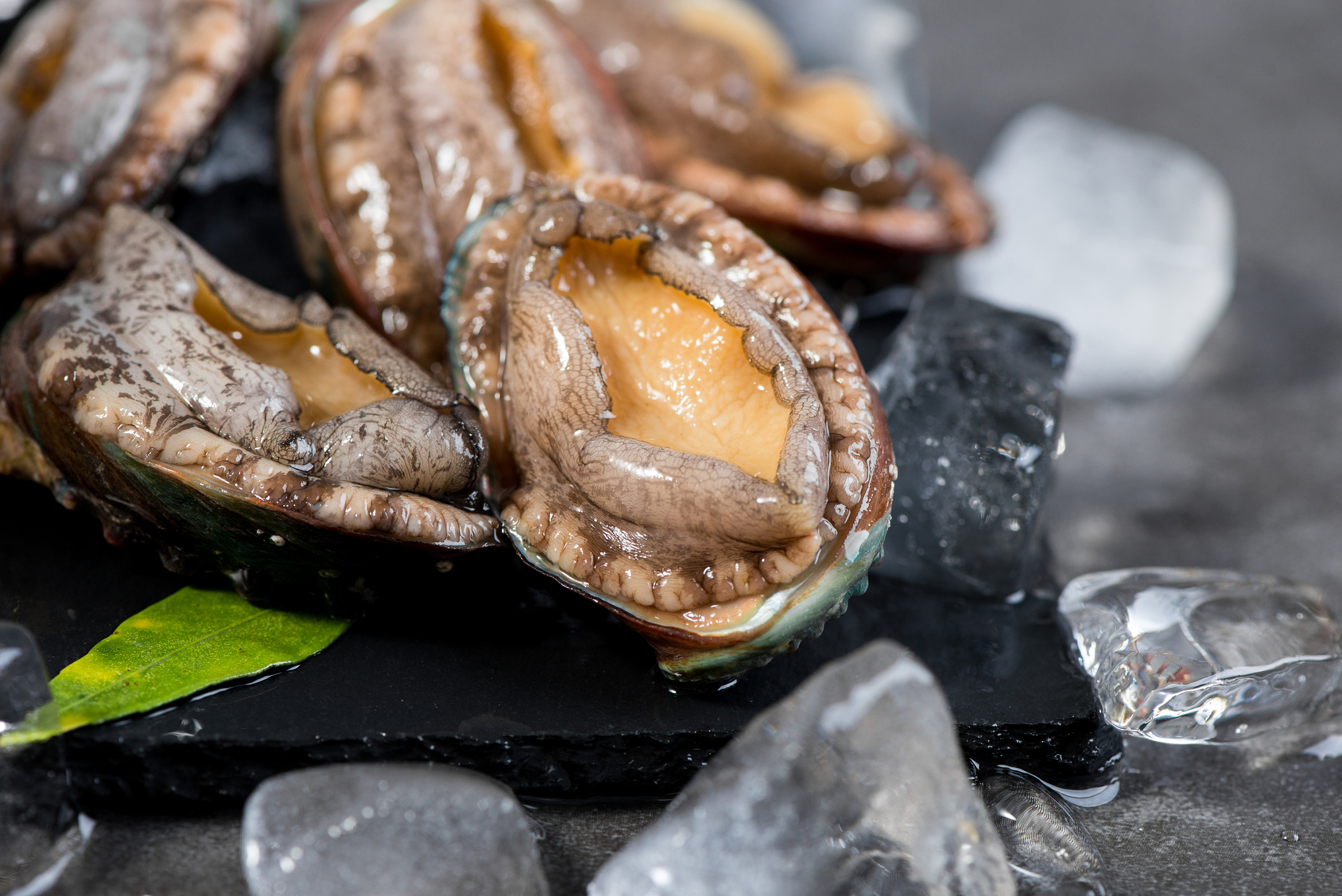 "Suiyuan Food List" mackerel - iNEWS