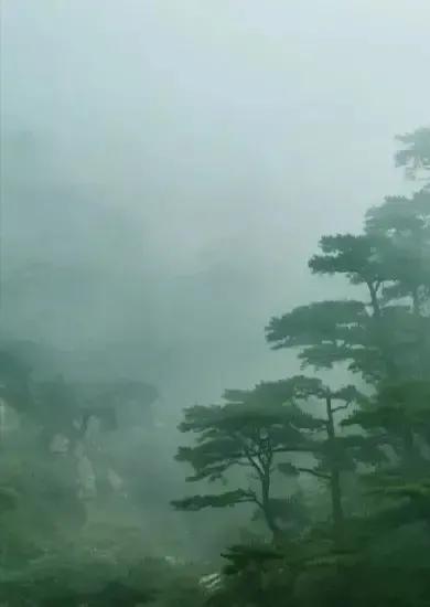 "Qingtian Gui'ao Sunkeng (1)" Selected Book 0403 of the Collected Works ...