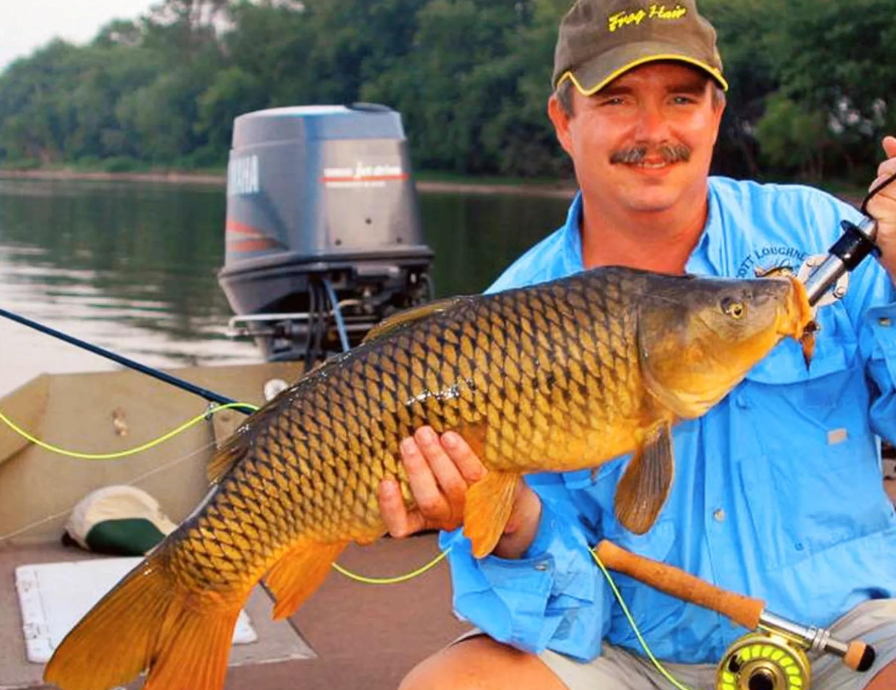 Asian carp invades Australia, a fish reward 1 million, is it really ...