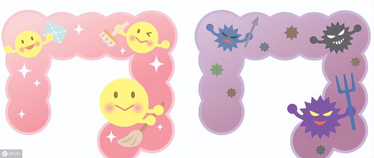 How to reduce the adverse effects of antibiotics on intestinal flora ...