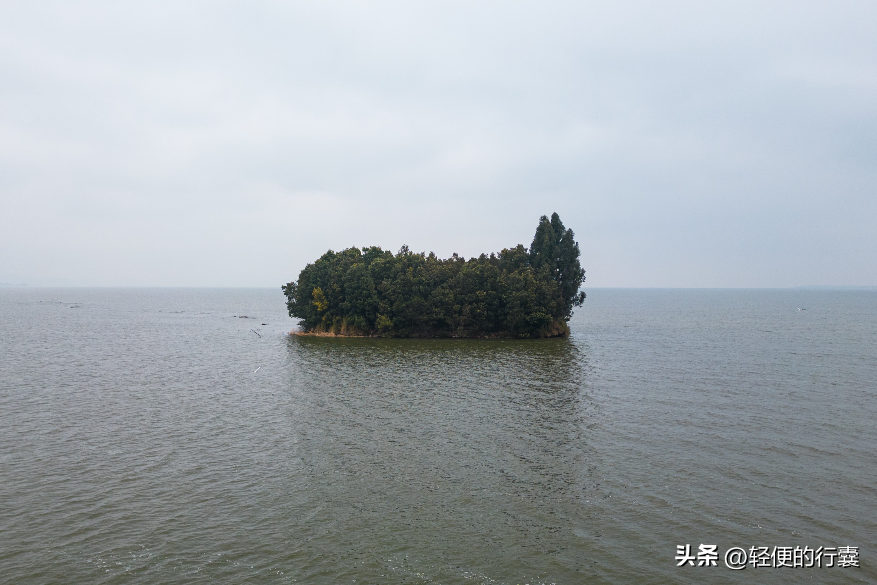 This small island is red, so you are a "whale" - iNEWS