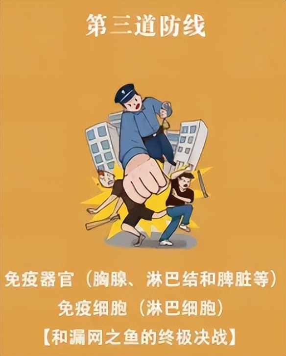 How does the human body resist and eliminate pathogens? - iNEWS