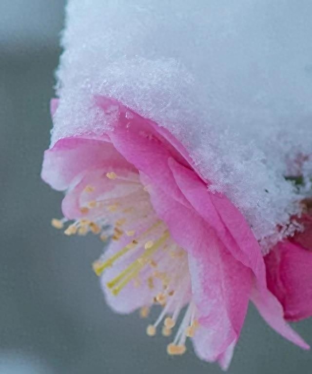 The decisive moment: The United States wants to arrest people, has ...