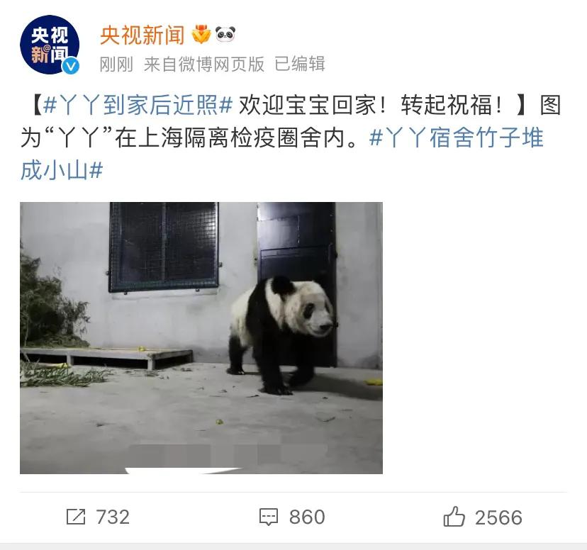 Yaya returned to China and became neighbors with Menglan. The corners ...