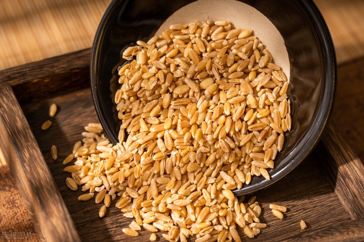 Floating wheat (solid surface antiperspirant) - iNEWS