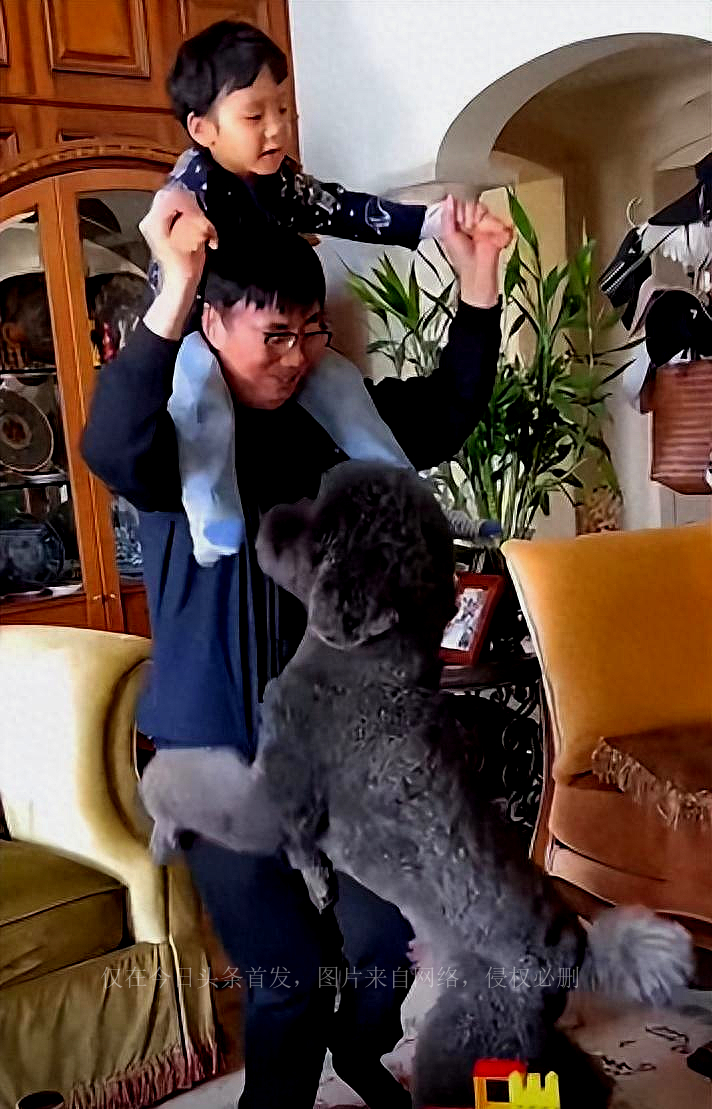 Fan Ming plays with his children in his mansion, which is comparable to ...