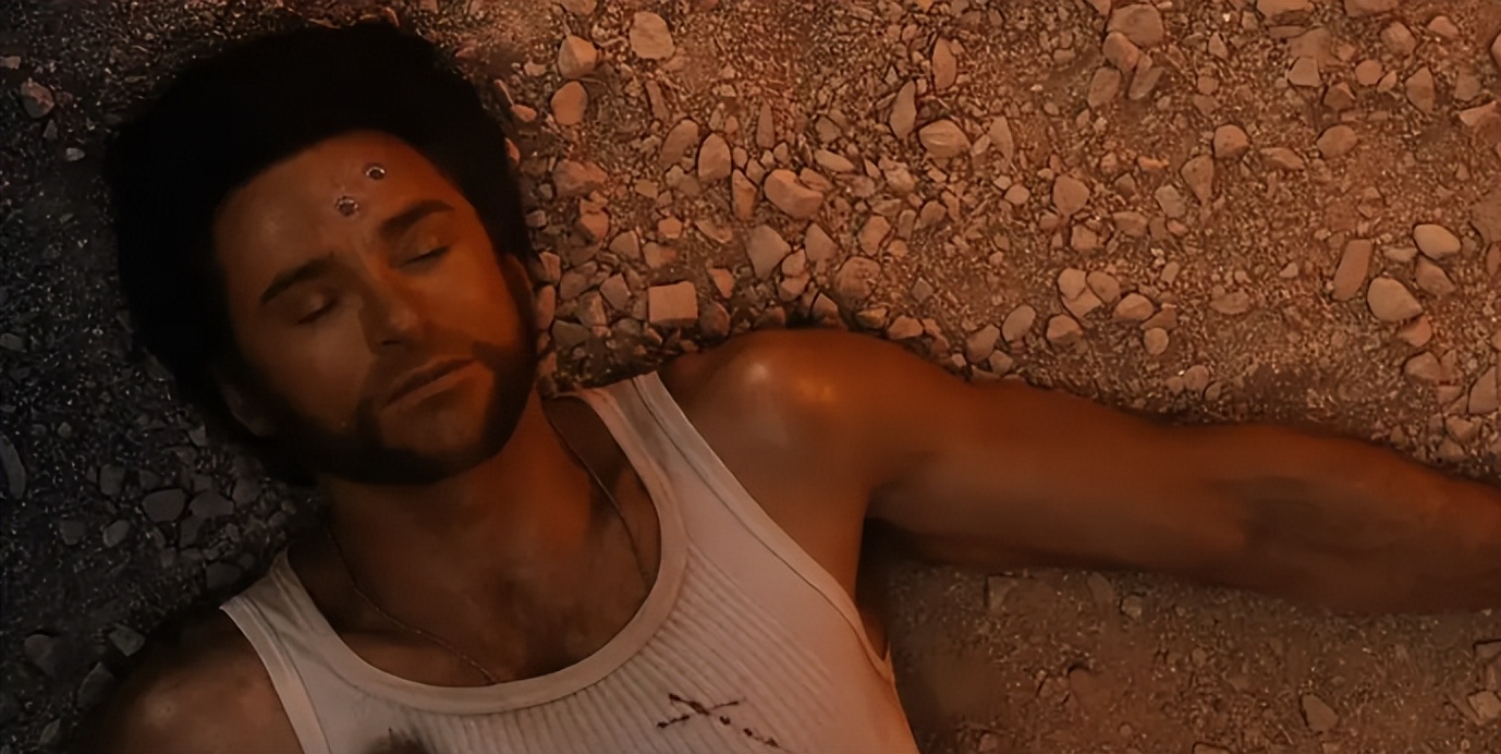 Hugh Jackman's amazing acting skills, Wolverine's bravery alone ...