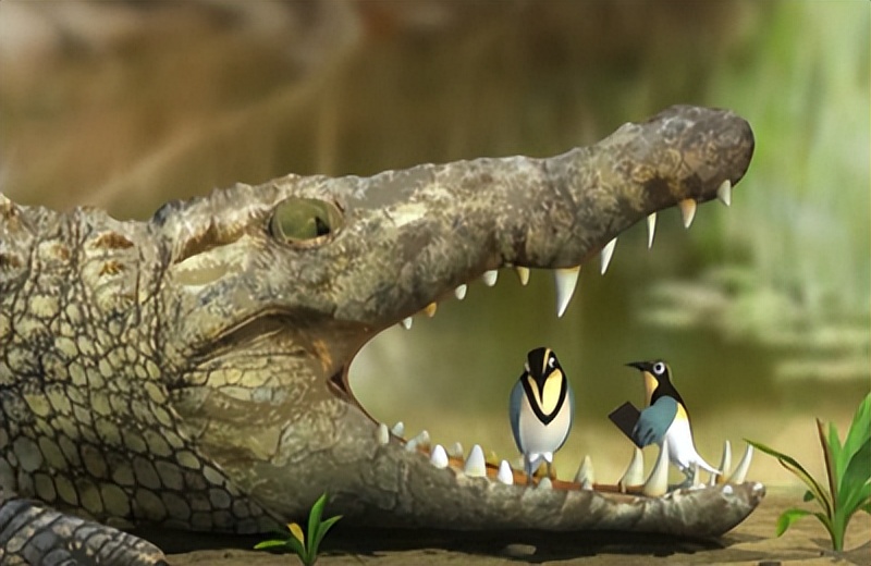 The bravest bird in the world dares to grab food from the crocodile's ...