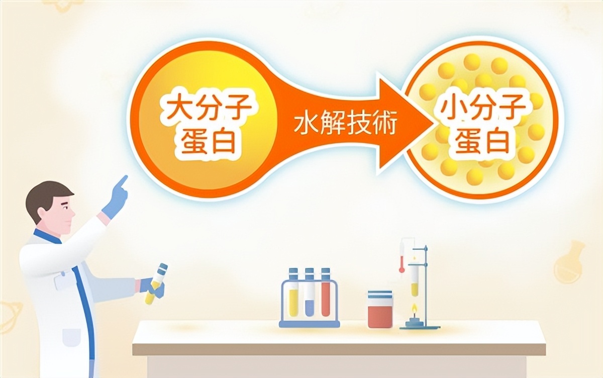 About the knowledge of moderately hydrolyzed milk powder, you must ...