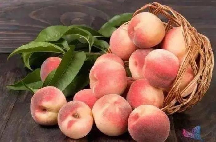 The fruits of the ancients are also rich and diverse. What other fruit ...
