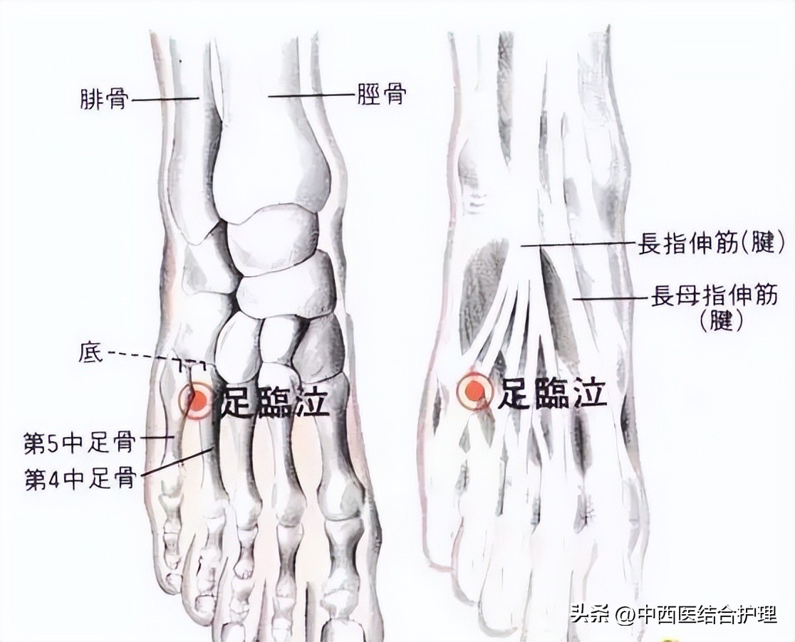[Acupoint health preservation] There is a magical acupuncture point on ...