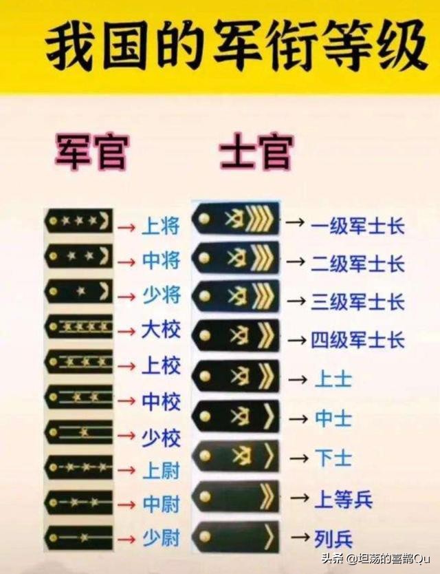 Ace troop: How many people do the platoon commander, company commander ...