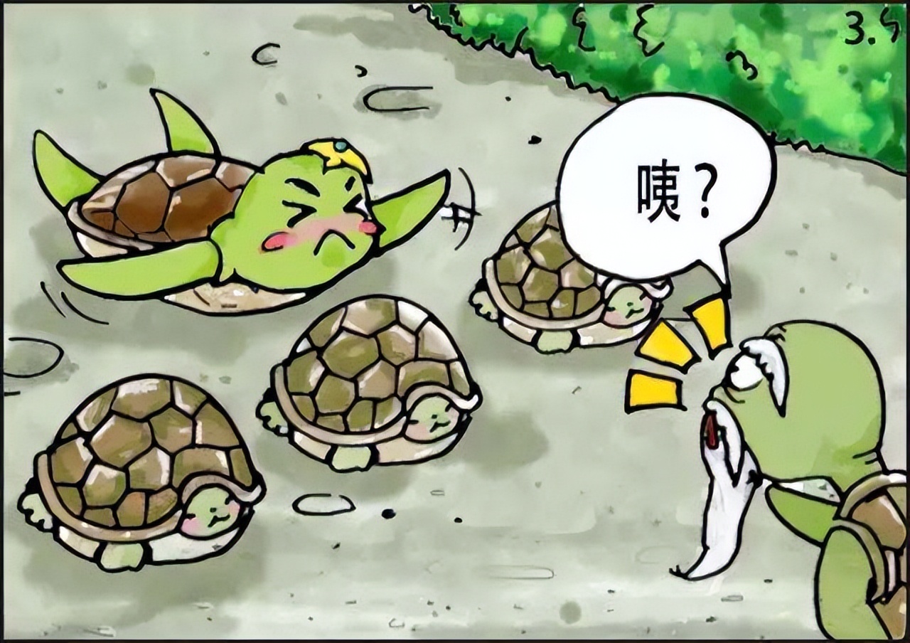 Turtles for help! Barnacles can be so scary! - iMedia