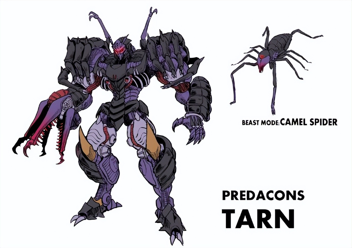 Transformers Super Warriors new character design, Arcee Transform Cat ...