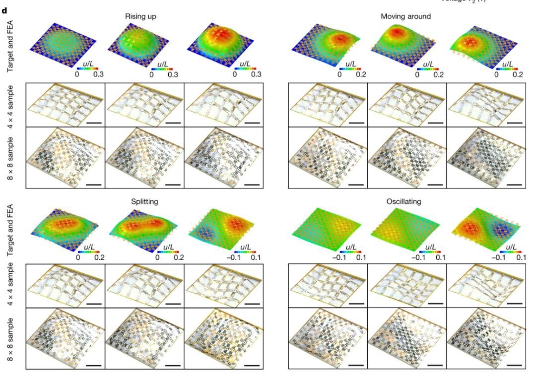 Scientists create dynamically reprogrammable surfaces for flexible ...