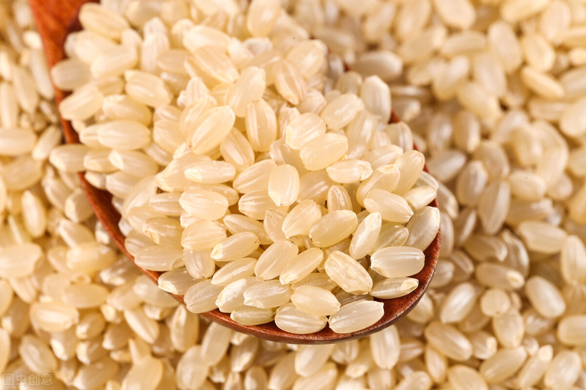 What kind of rice is germ rice?Does it really have so much nutrition ...