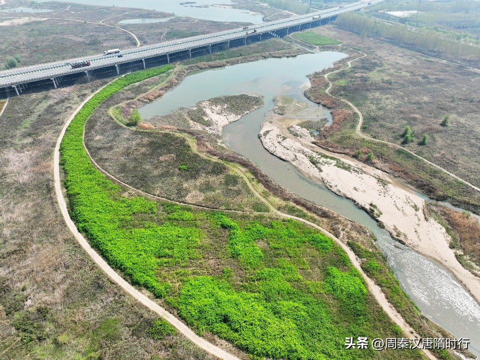 At the intersection of the flood and the Wei River: the reeds are green ...