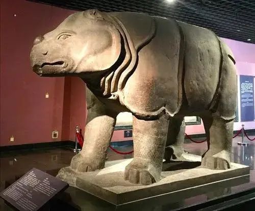 One cultural relic a day: Tang Gaozong's offering of stone rhinoceros ...