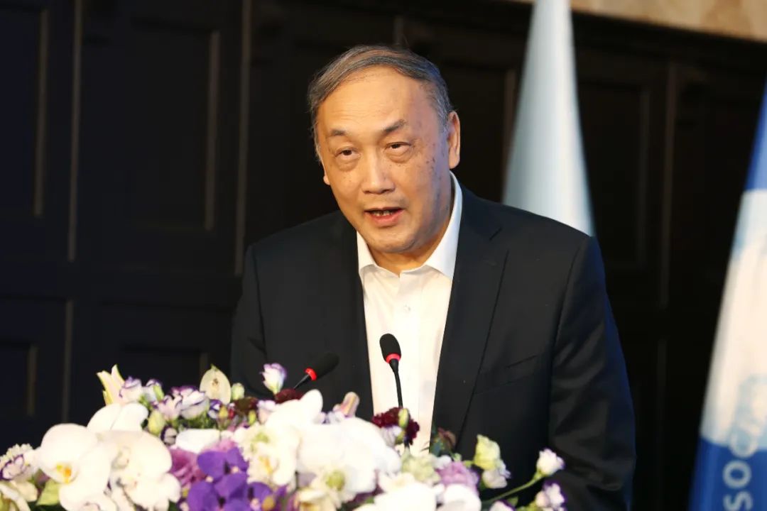 Yang Wei, Academician of the Chinese Academy of Sciences: The Top ...