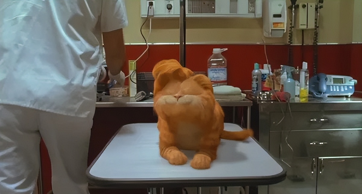 How does "Garfield" use humorous and funny plots to reflect on the ...