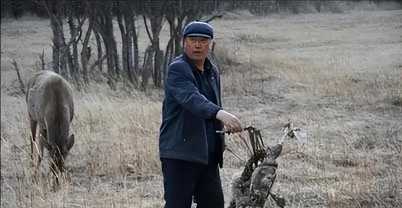 What is the reason behind the tragic death of more than a hundred deer ...