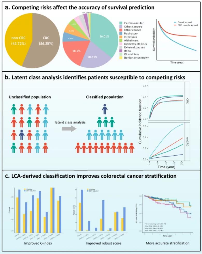 SEER database + machine learning algorithm + TCGA database verification ...