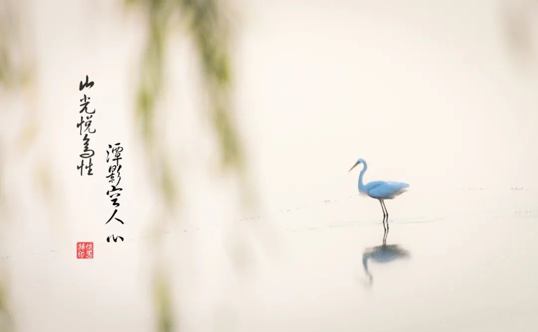 10 lucky poets, only one poem has been handed down, but it has become a ...