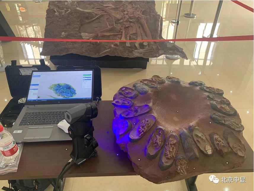 Application of 3D Scanning in the Study of Dinosaur Egg Fossils - iNEWS