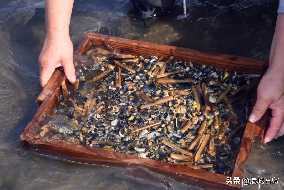 On the big beach, dig and dig and dig... - iNEWS