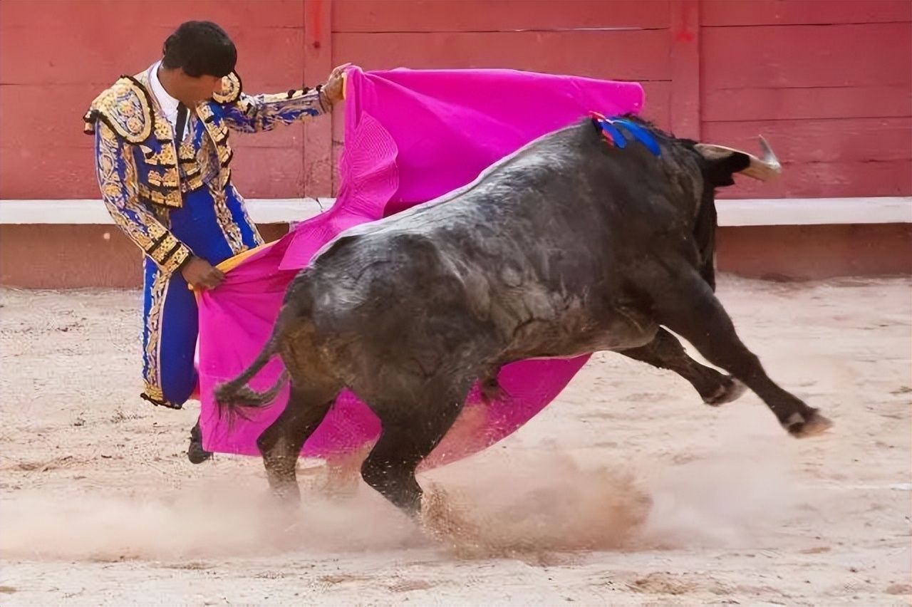 The culture and significance of Spanish bullfighting, as well as some ...