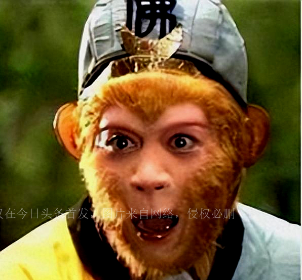 Yang Jie has been married twice. Her ex-husband was a leading Chinese ...