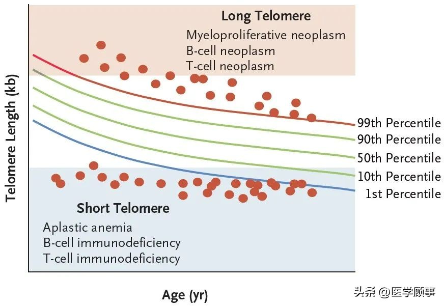 Longer telomeres mean longer life? The top journal confirms the fatal ...