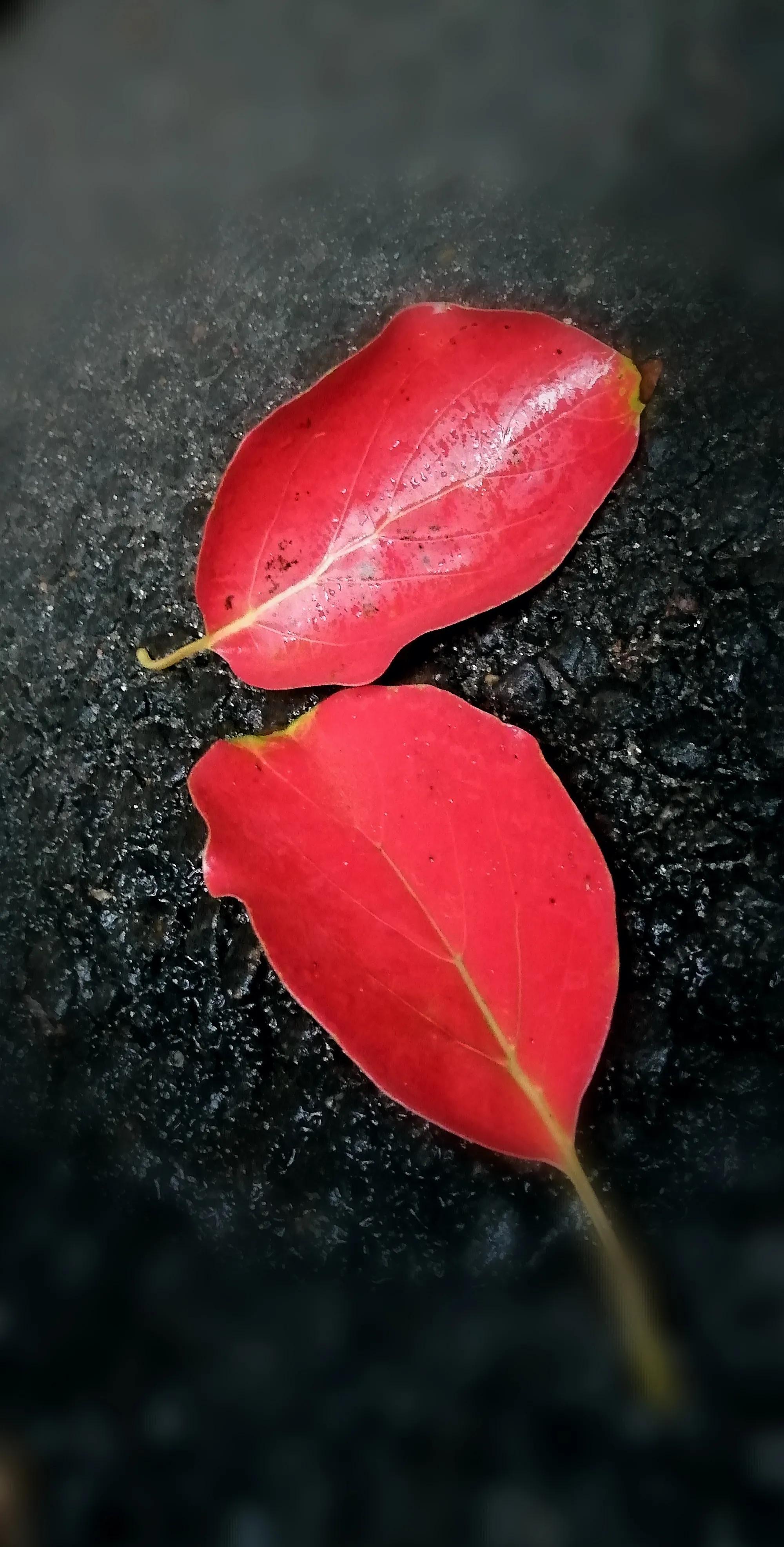 A Preliminary Exploration of Xinyiquan Practice in Sun Baocai's "Nei ...