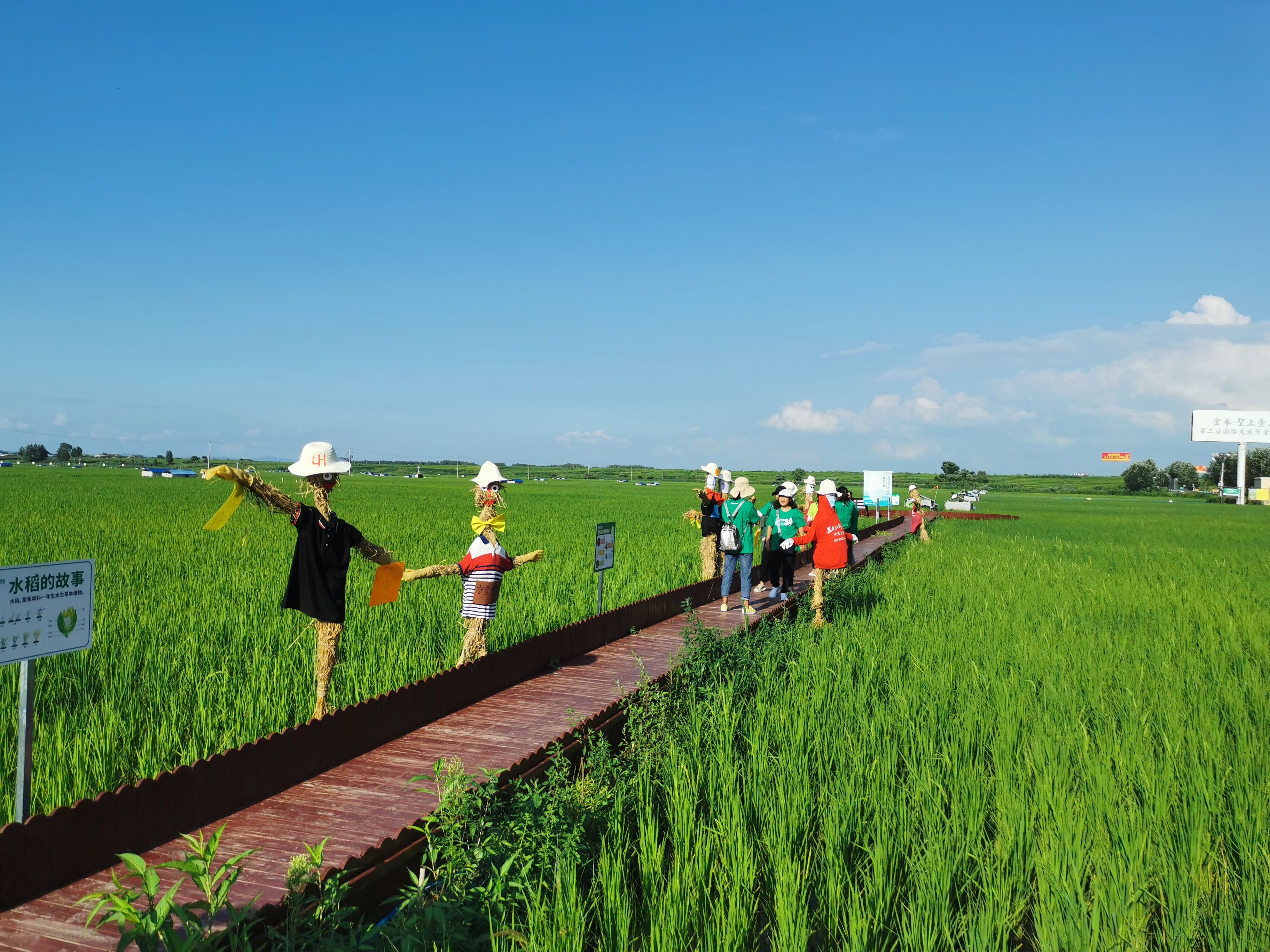 Taste Wuchang, feel the aroma and taste of rice itself - iNEWS