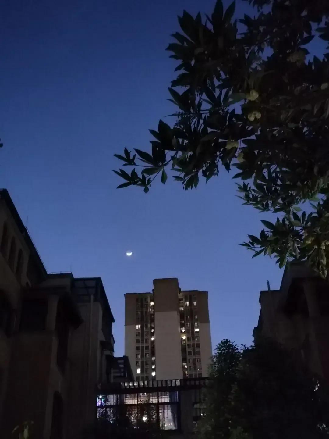 Qinyuan Spring Journey - iNEWS