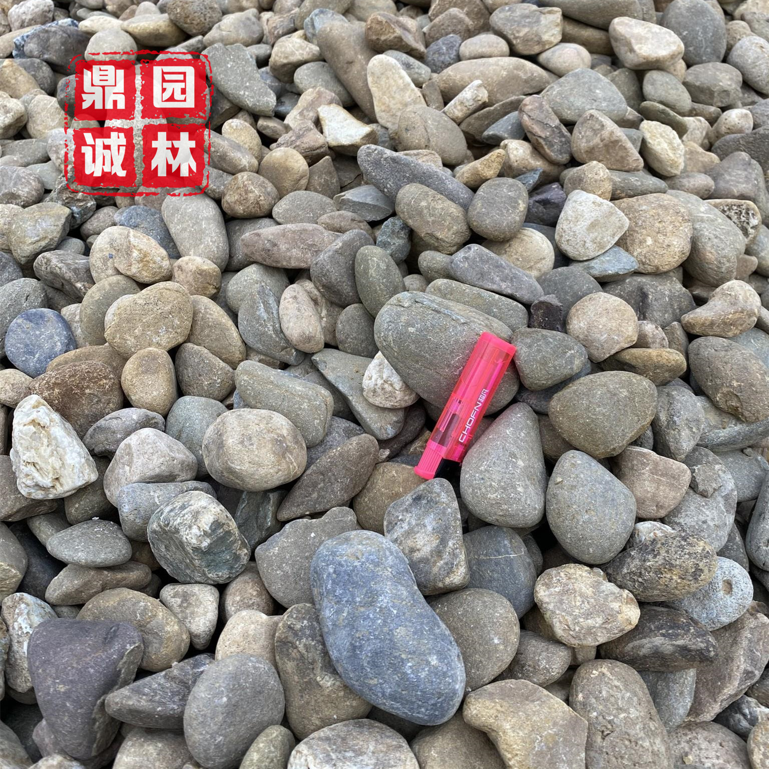 Does natural pebbles refer to naturally formed pebbles? - iNEWS