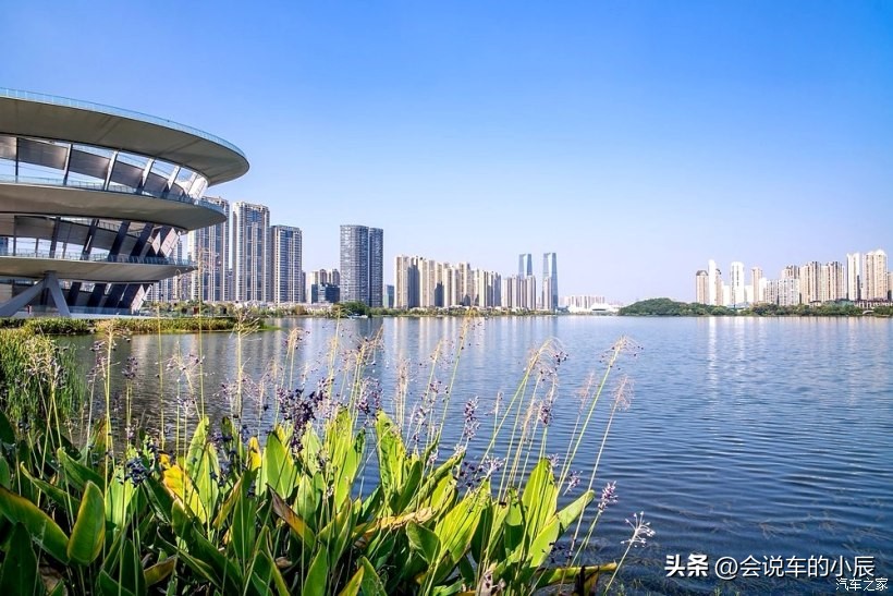Driving a BYD Tang to Changsha Meixi Lake and tasting tea is the ...