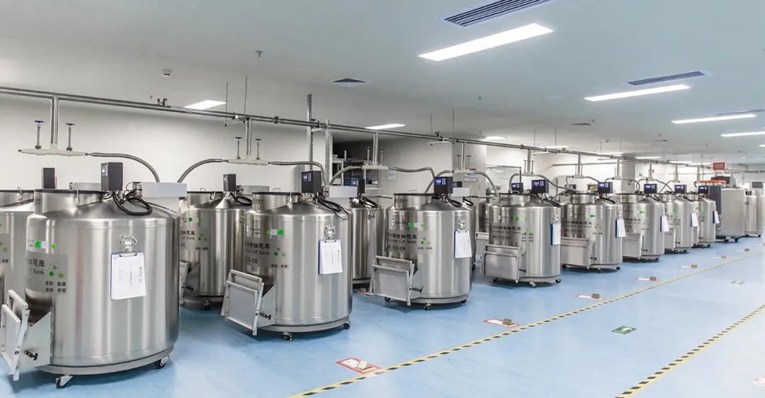 Academician's explanation-what are the benefits of storing immune cells ...