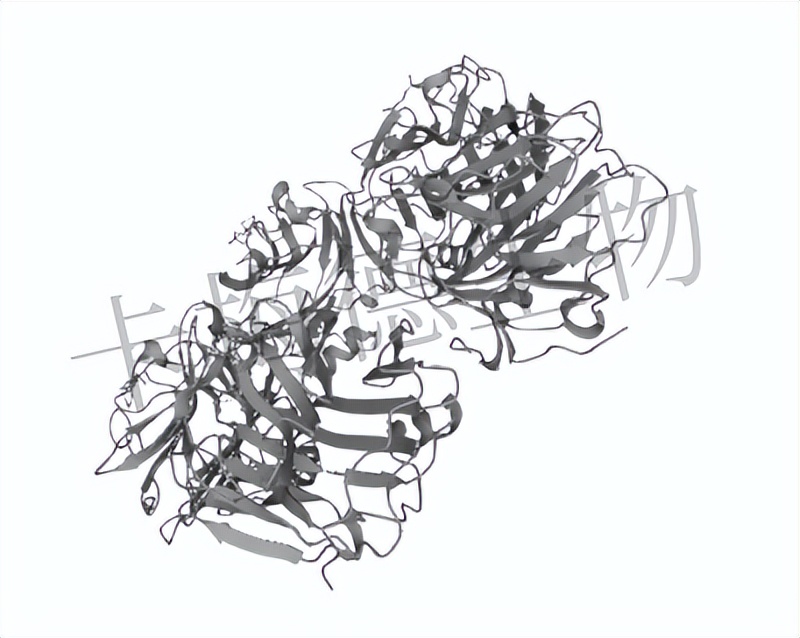 Introduction to C-reactive protein (CRP) - iNEWS
