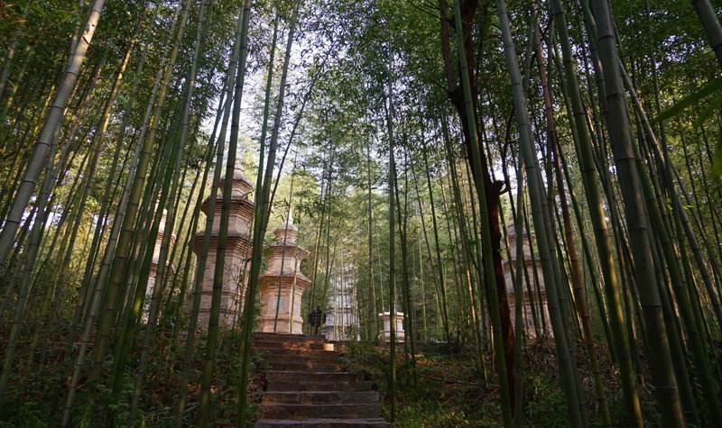Xichuan Xiangyan Temple 5: There are many towers, carrying the essence ...
