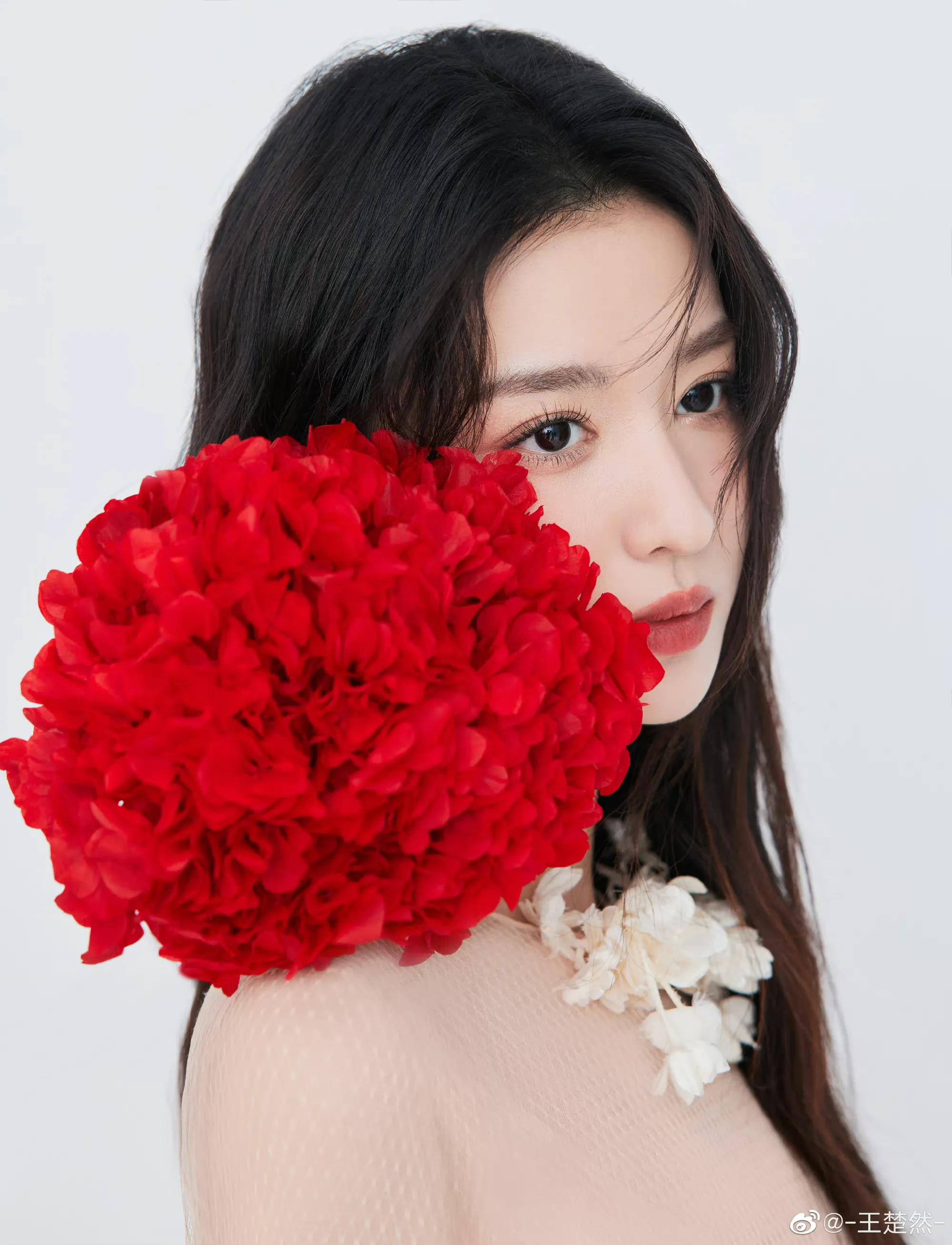 Wang Churan celebrates his birthday with safflower, showing his own ...