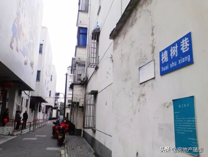 locust alley - iNEWS