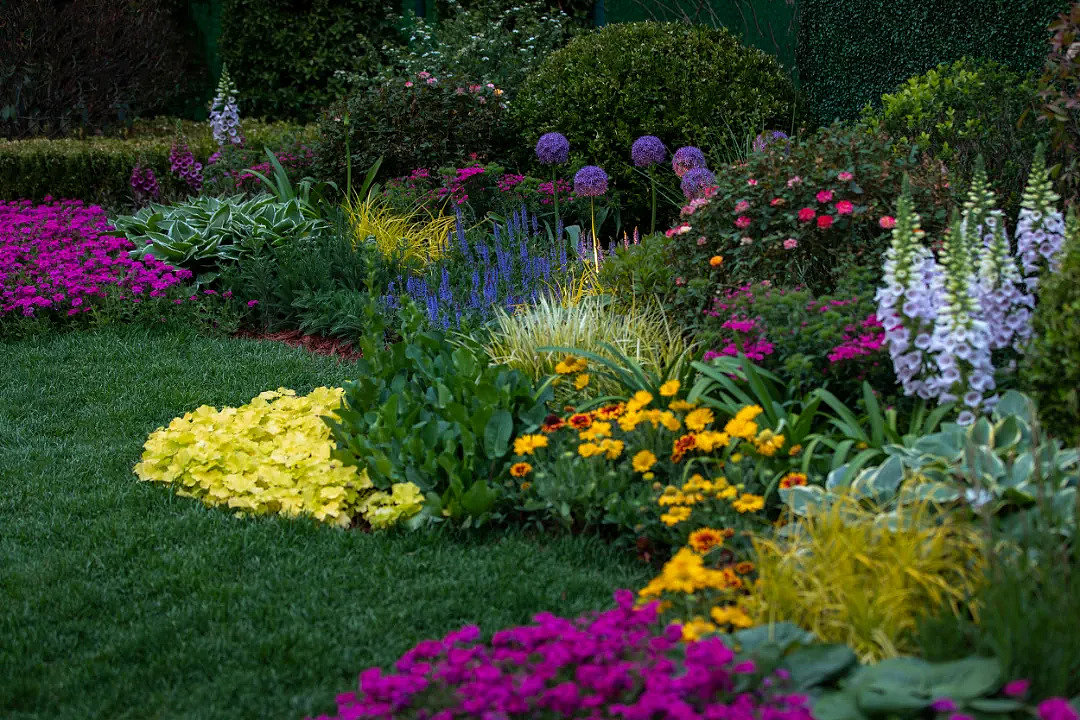 Garden flower border - forest edge flower border - iNEWS